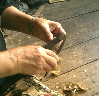 Dalam fikiran si LABU...: Kampil / po-nging-gatan / tapak sirih