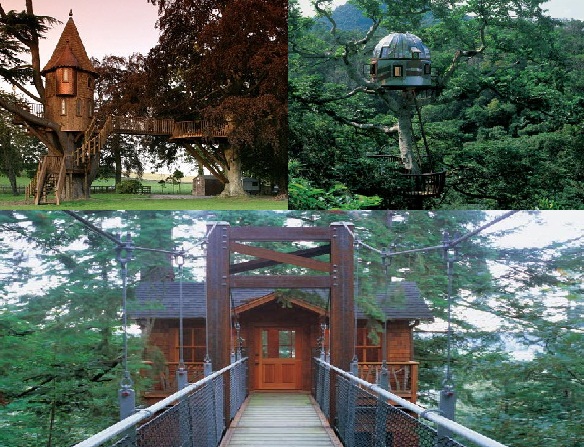 Tree Houses | Interesting Creative Designs