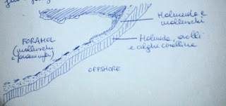 ...verso il polo!: Appunti di Sedimentologia - AREE A SEDIMENTAZIONE ...