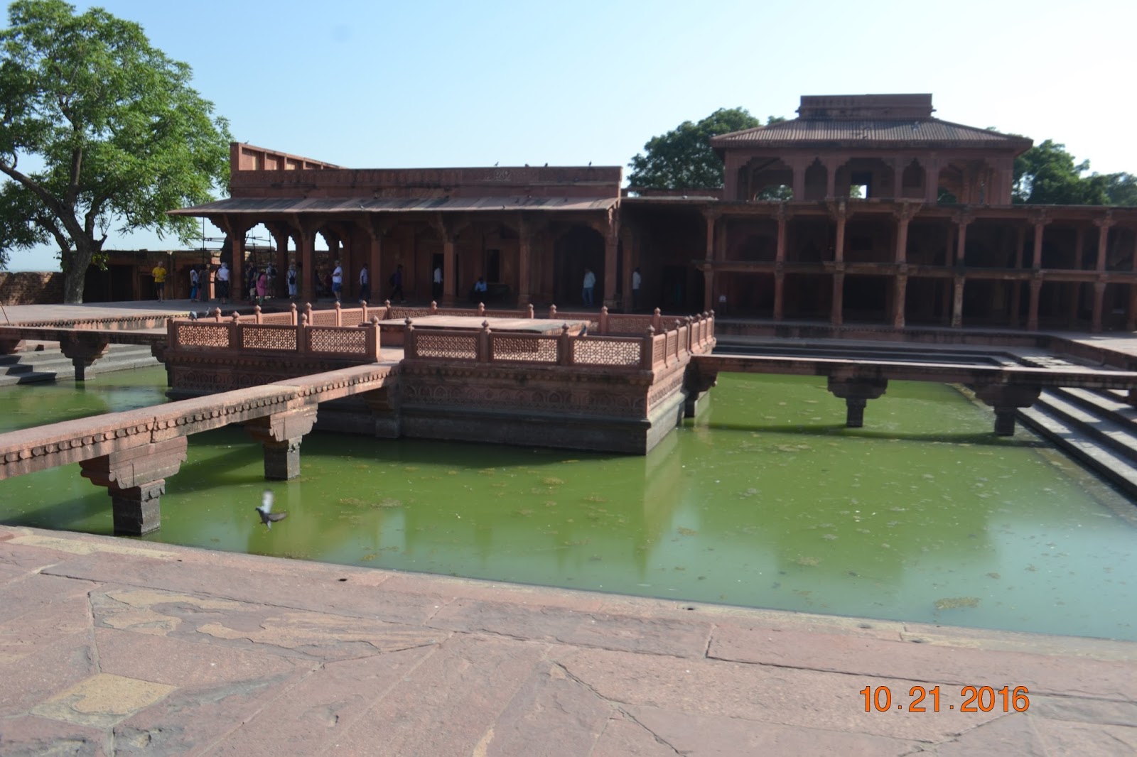 KK's Victory Lap: Dhula Village