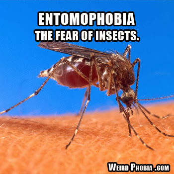 Collections: Phobias