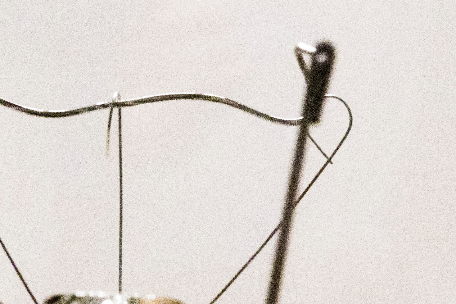 TMA 112 Blog - Steven Bills: Medium Specificity - Filaments