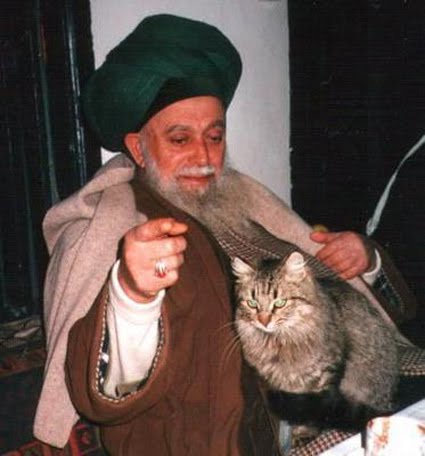 prophet muhammad cat breed