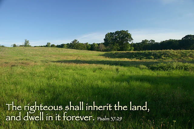 Lily-Fashion: Psalm 37