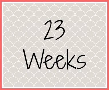 Hayley from Home: Twin Pregnancy Diary - 23 Weeks An Early Update