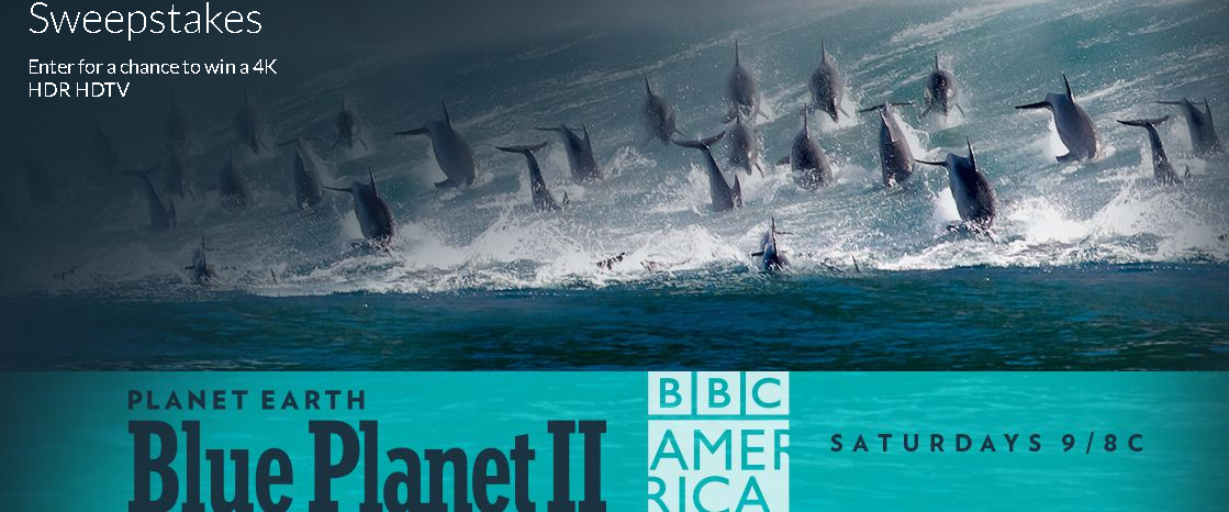 Inspired by Savannah: DISH News: Watch BBC America's Blue Planet II in ...