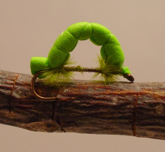 Tradd's Flies: Inch Worm