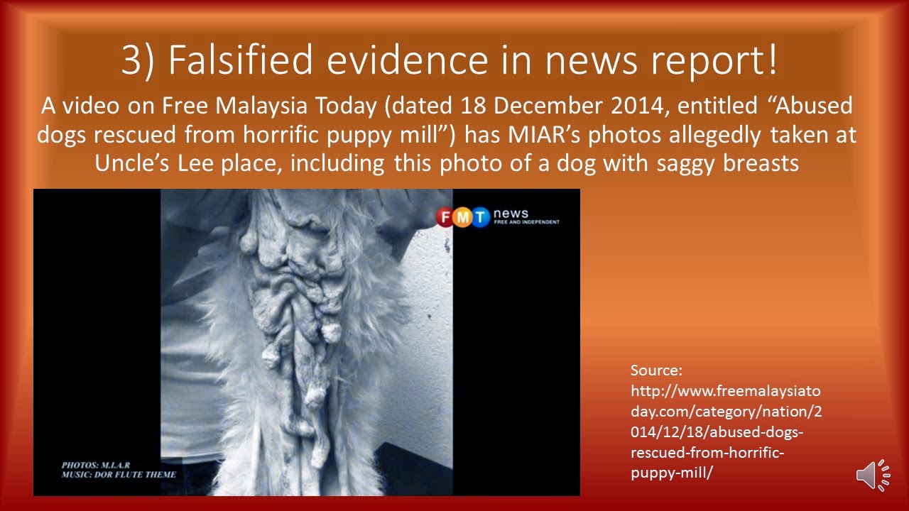 MalaysiaFlipFlop: The truth about Puspa Rani