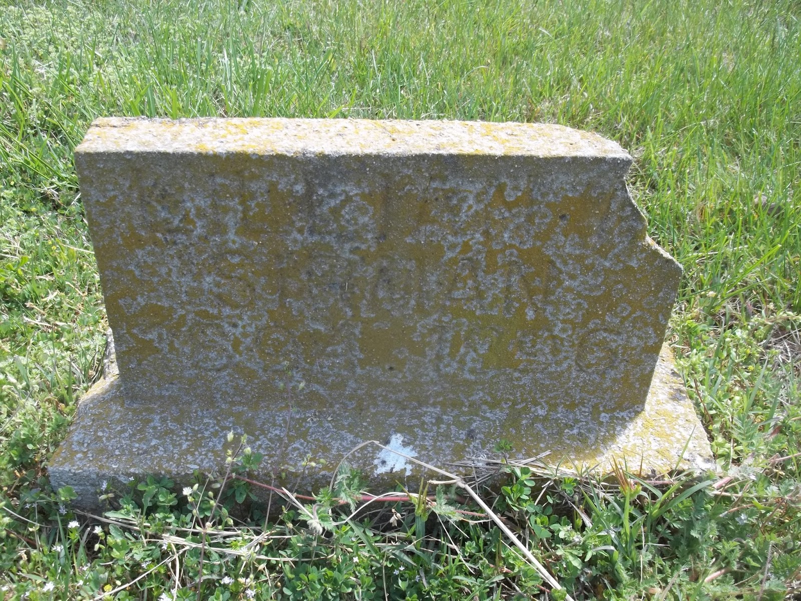 Delmar Historical And Art Society: The Poured Concrete Tombstone