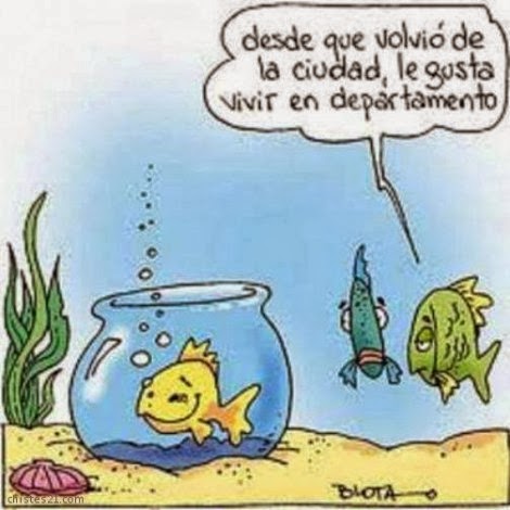 Tus Mejores Imagenes: Imagenes con refranes