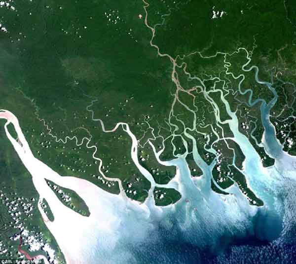 Delta Sungai di lihat dari Satelit (II)