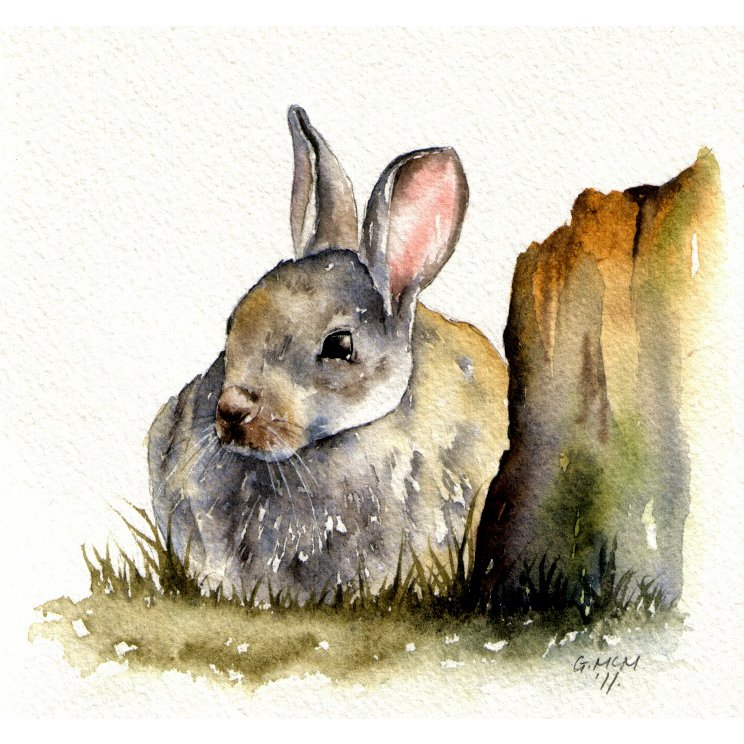 Gillian McMurray: Artist & Craftsperson: Season's Greetings!