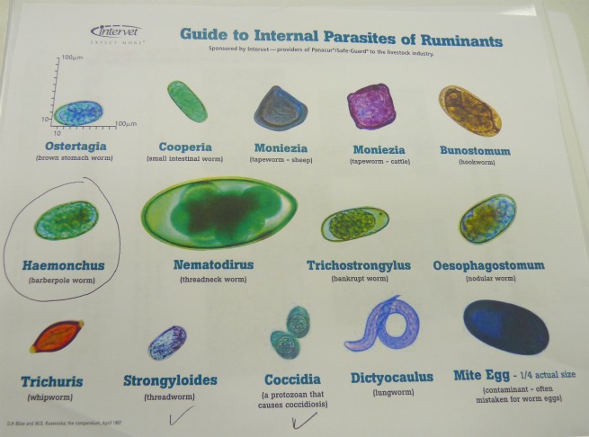 BooneDocksWilcox: Parasite Management Workshop
