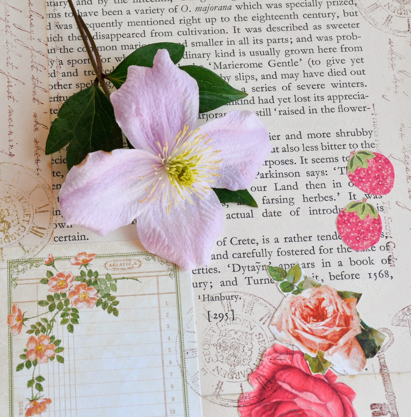 Helen Philipps: Flower Patches