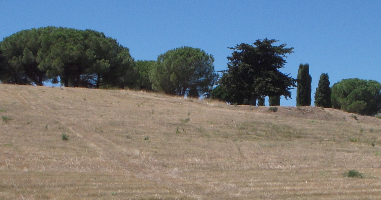 ArqueoLugares: ALALIA. Aleria griega. Alta Córcega. Francia.