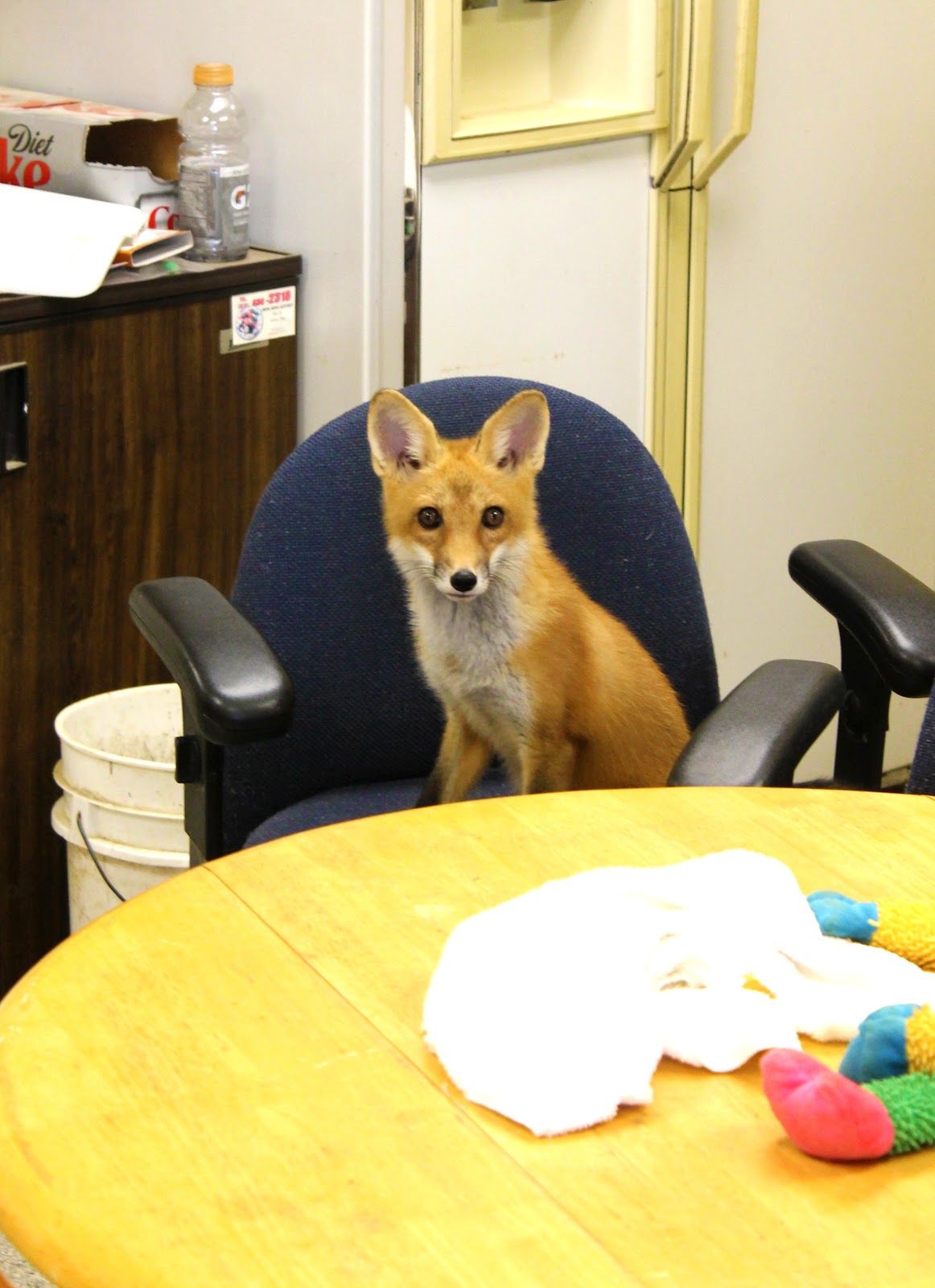 (More Than) A Spot in the Sun: Camera Bop