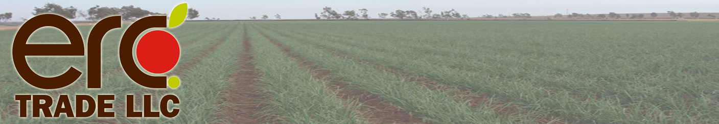 ERC Trade LLC: About Us