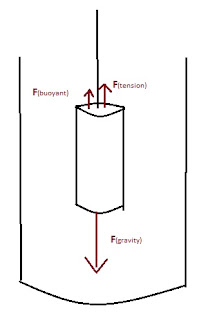 Physics 4C iirianto: Fluid Statics (Exp 1)