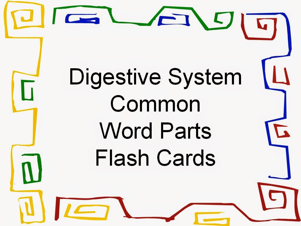 Student Survive 2 Thrive: Digestive System Common Word Parts Flash Cards