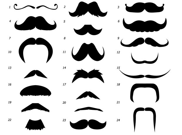 Los Mejores Mostachos: Clases de mostachos