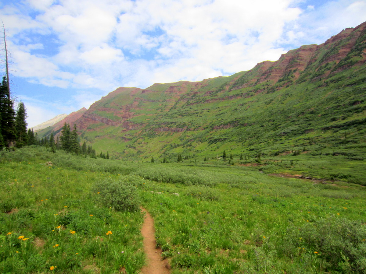 CO-Runner: The Four Pass Loop