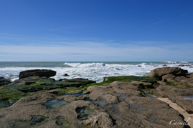 mi fular : Inmenso mar