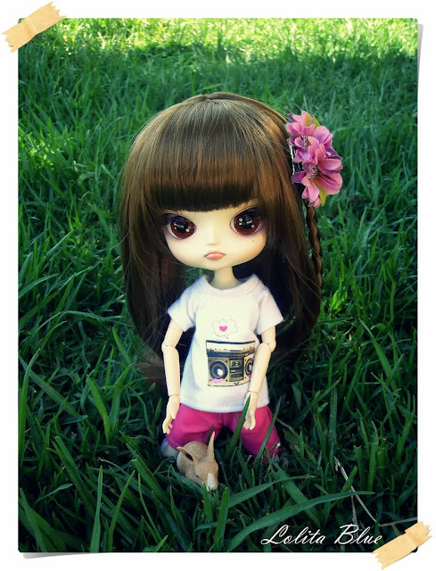 La casita de mis kekas: Ashley - Dal Risa