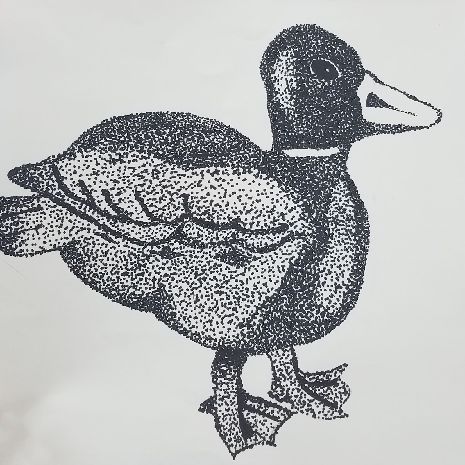 Jerdee's Art Classes: Drawing A | Stipple / Hatch / Cross Hatch