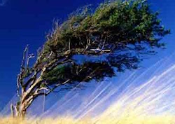 5 Modern Day of Pentecost-Type Accounts Of A Rushing Mighty Wind (Plus ...