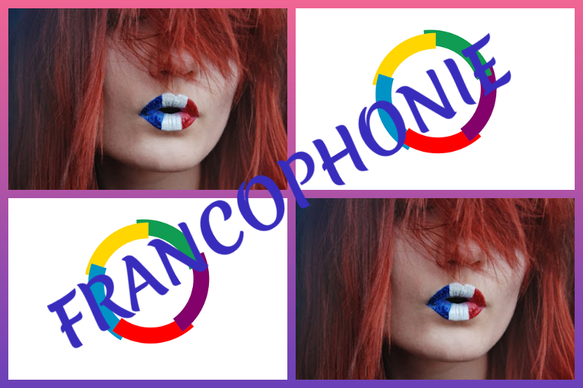 TICs en FLE: La Francophonie : quelques ressources