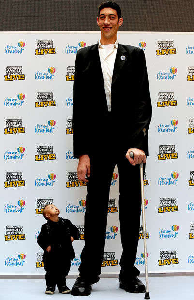 Free Wallpapers: Tallest Man Of The World