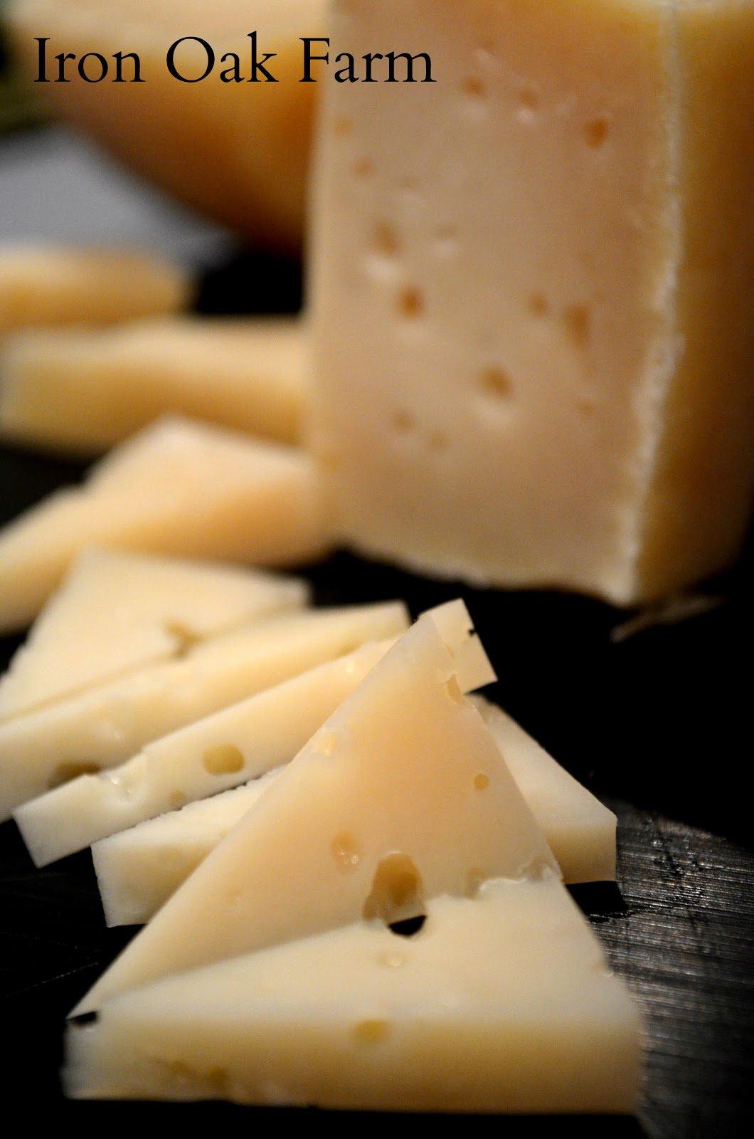 Iron Oak Farm: Holy Cheese! Our First Swiss Tasting