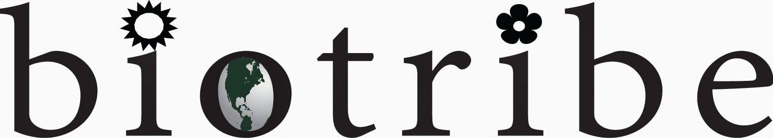 SUKHDEEP TRACY HUANG: WORKS - GRAPHIC DESIGN