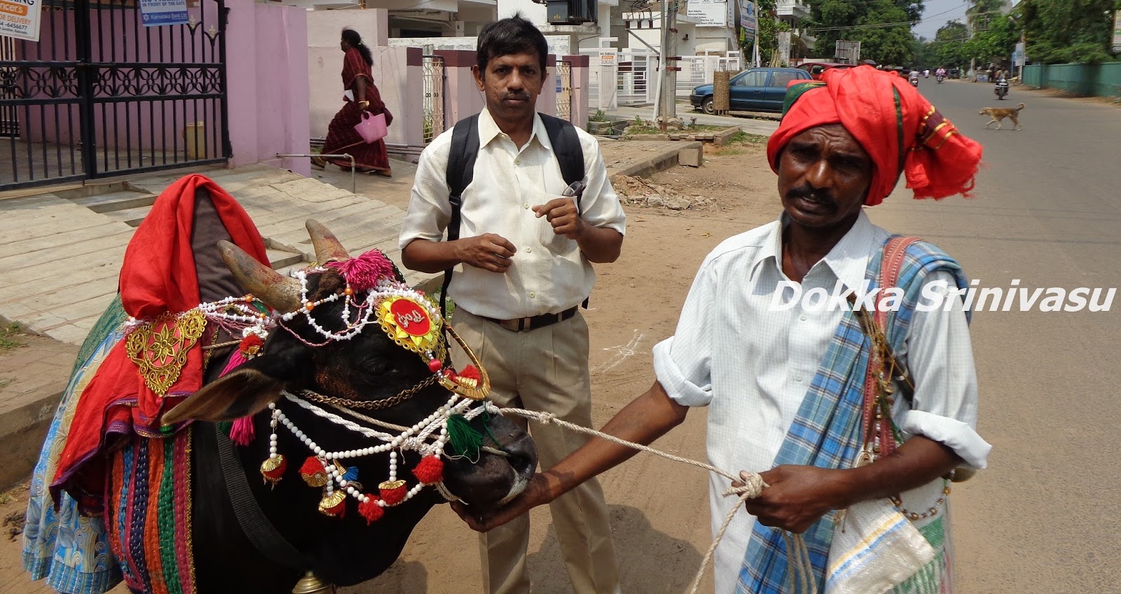 Heritage of India: Gangireddu and Gangireddulaata (గంగిరెద్దు మరియు ...