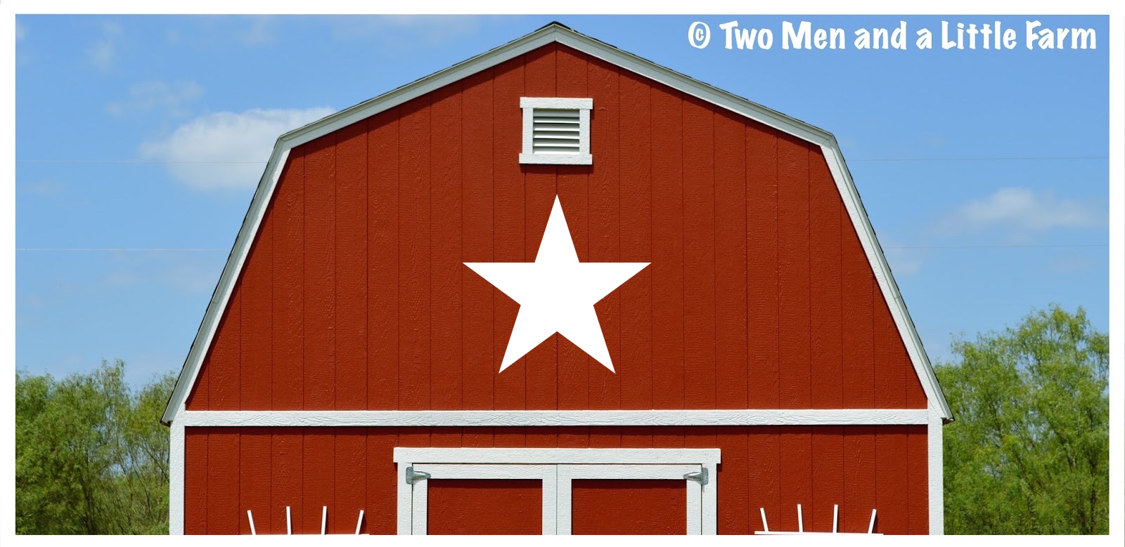 Two Men and a Little Farm: SEEING STARS