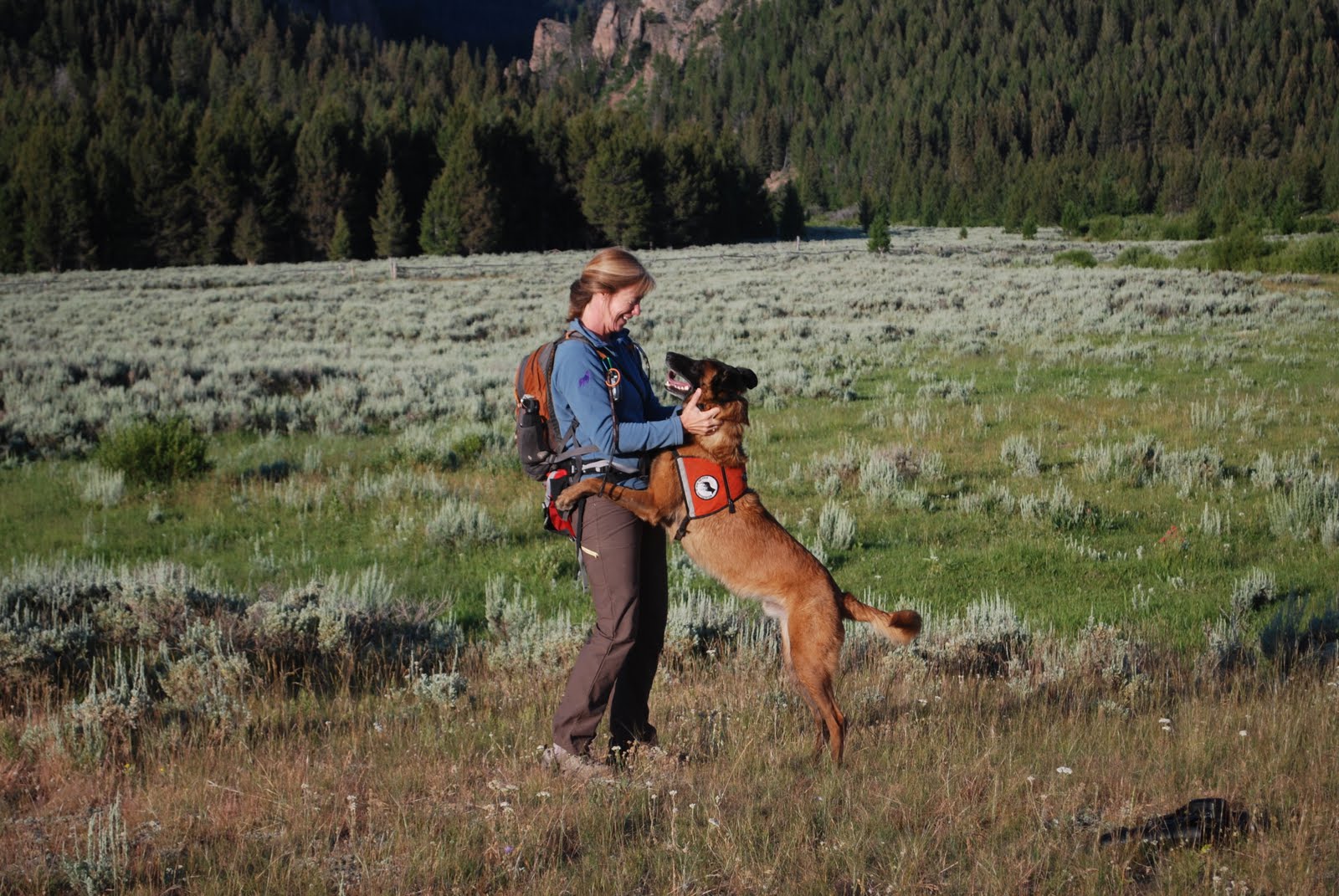 Conservation Dogs: Conservation dogs visit to Working Dogs For ...