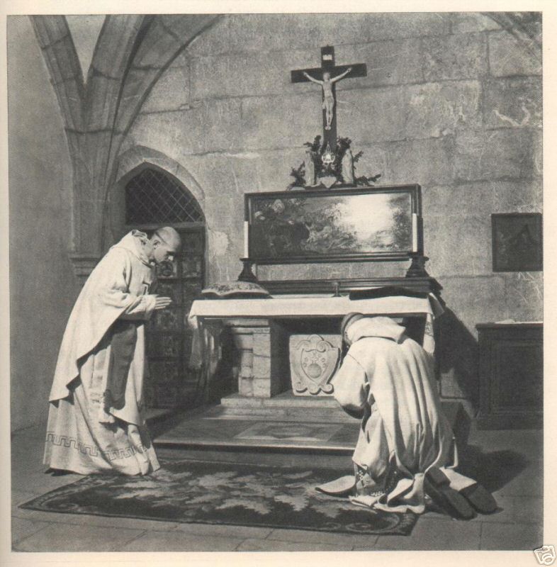 New Liturgical Movement: The Confiteor in the Carthusian Liturgy