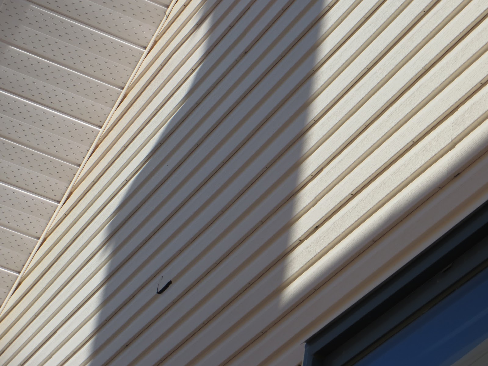 Cincinnati Ins Co Claims: Hail Damage Siding Insurance Claims
