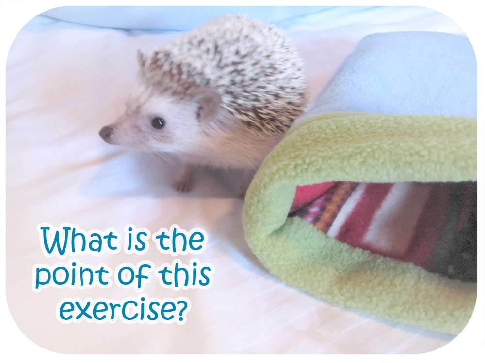 Poggy's Special Inside-Out Pouch : Behind Mytutorlist.com