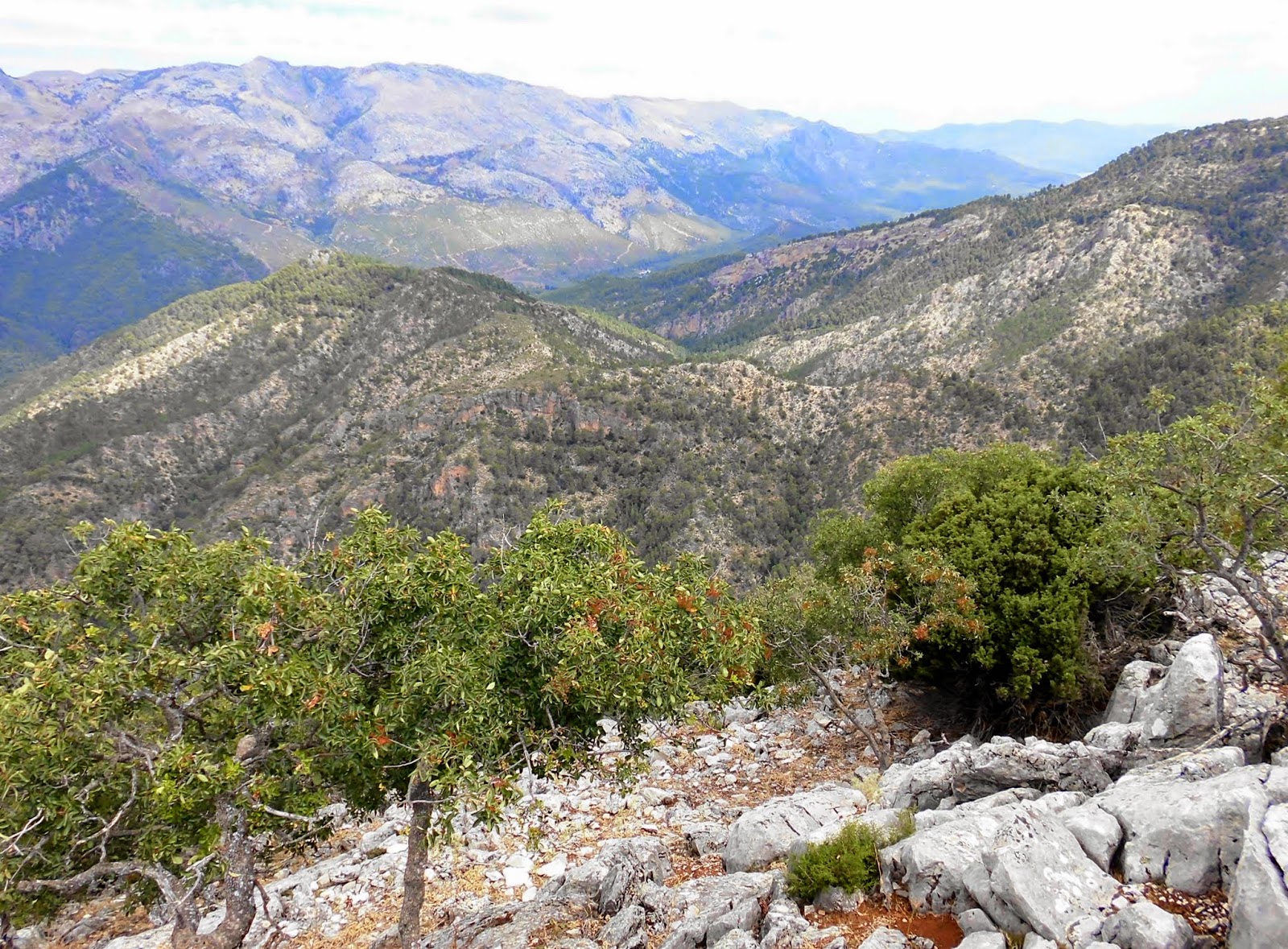 Club de Senderismo Los Escuderos de Rus (Jaen): CASA DE LAS TABLAS ...