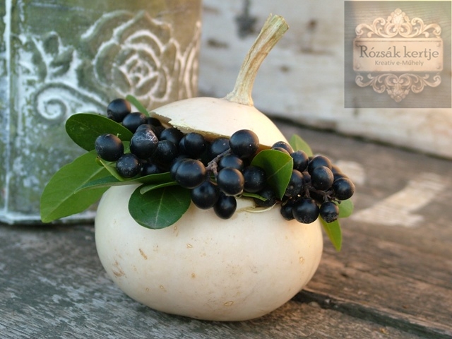 Rózsák Kertje Virág és Dekor: Tökös őszi dekor ötletek