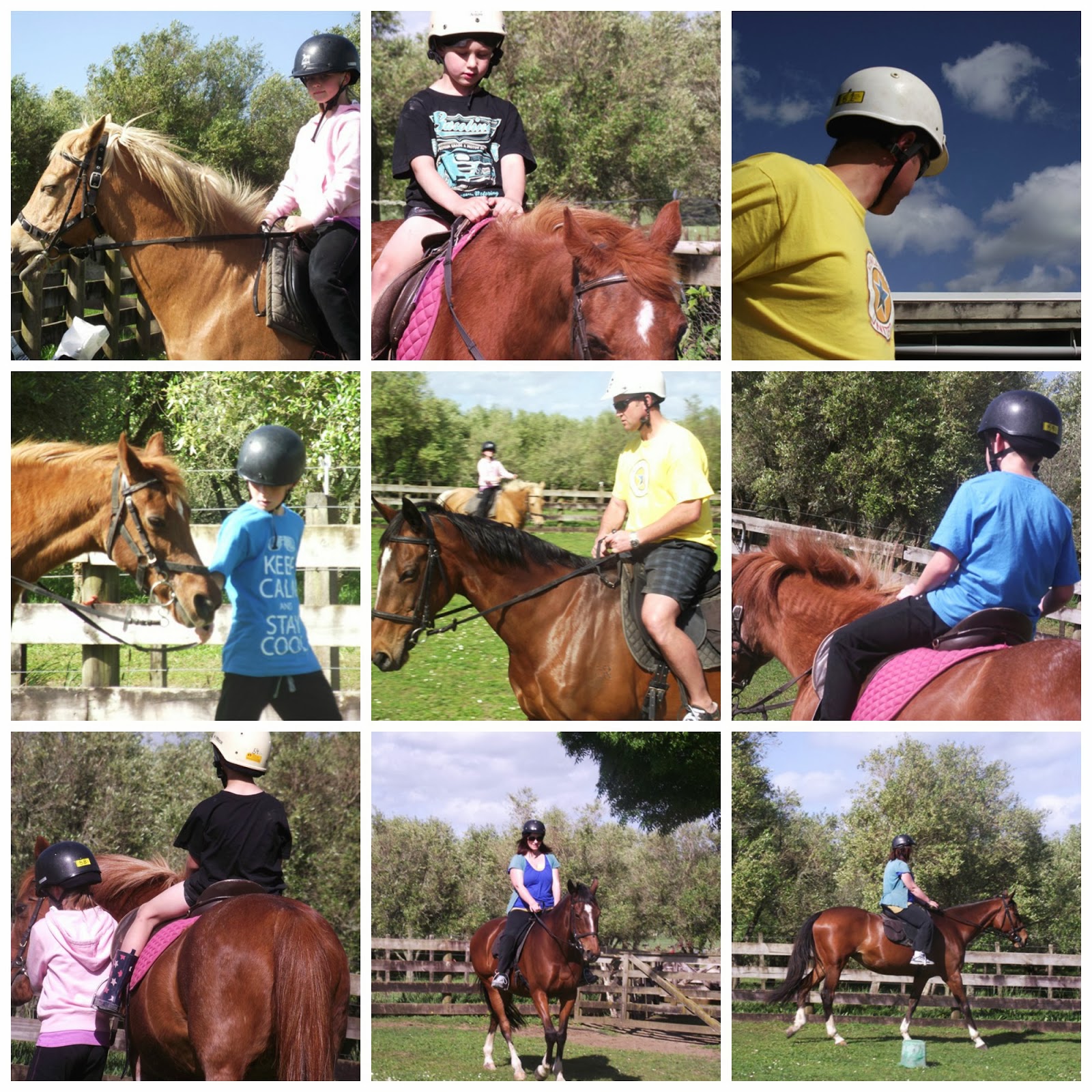 Great Fun etc: A Family Horse Riding Adventure
