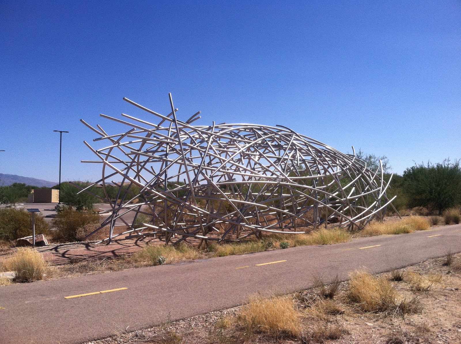 Tucson Daily Photo ~: Cool Cocoon