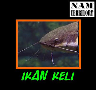 N.A.M Territory ::.!: .:: Ikan Hodoh (Cartoon) ::.