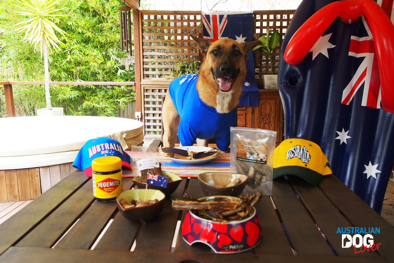 Celebrate Australia Day with Dogs Safely | Australian Dog Lover