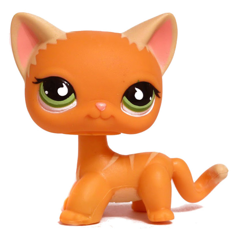 Littlest Pet Shop Large Playset Cat Shorthair (#790) Pet | LPS Merch