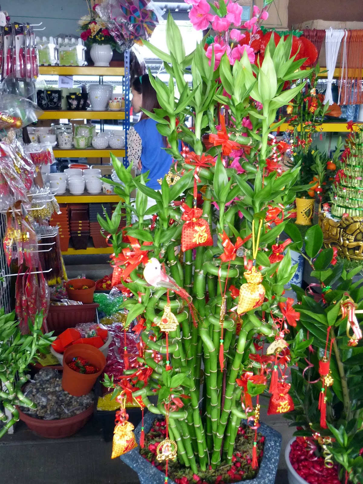 david 3816: Chinese New Year 2014