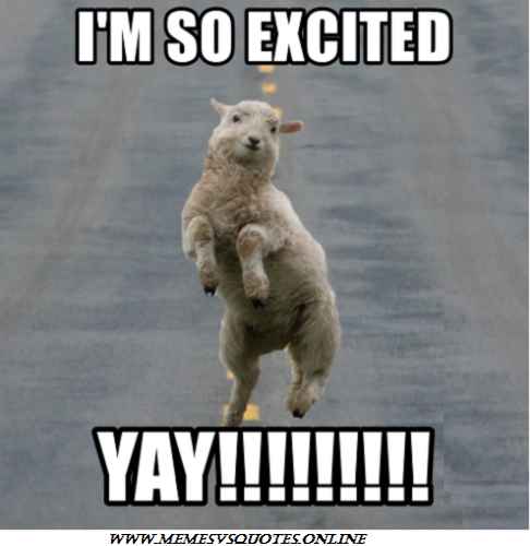 Excited Meme