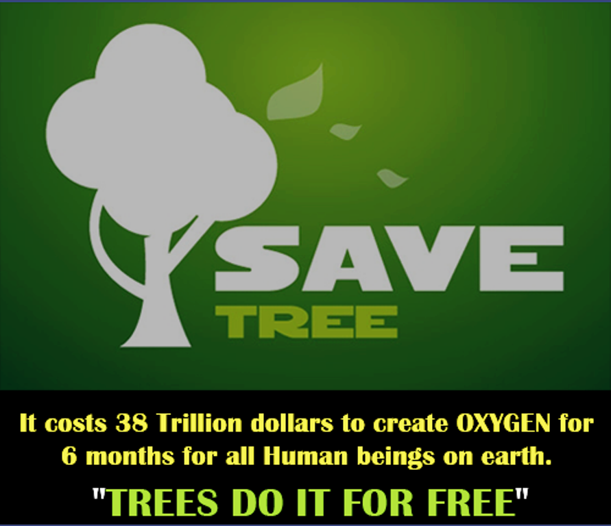 Amazing Facts: SAVE TREES