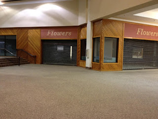 Sky City: Retail History: Parkwood Mall/Wilson Mall: Wilson, NC